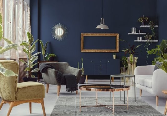 Color Your World : How to Choose the Best Wall Paint for Your Home
